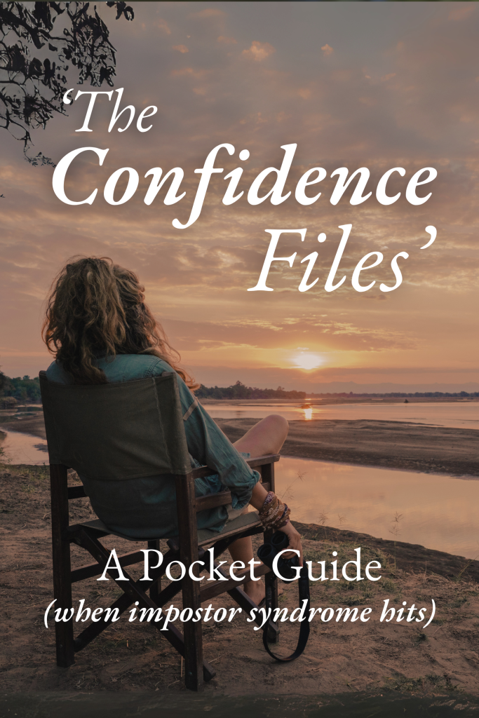 The Confidence Files - A Pocket Guide. - Gisele Stein